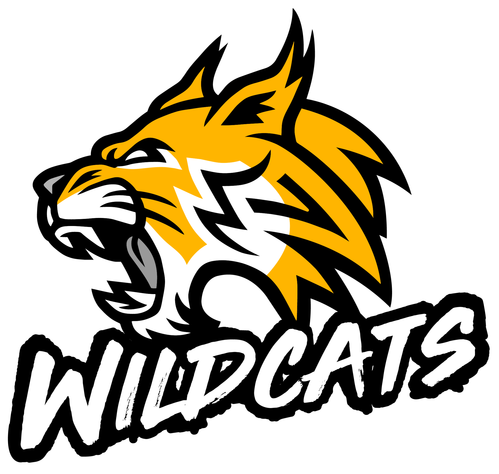 Wildcat Report – March 2025 - Maquoketa Valley CSD